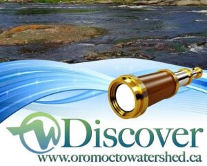 Sand Brook Falls Adventure Trail - Oromocto River Watershed